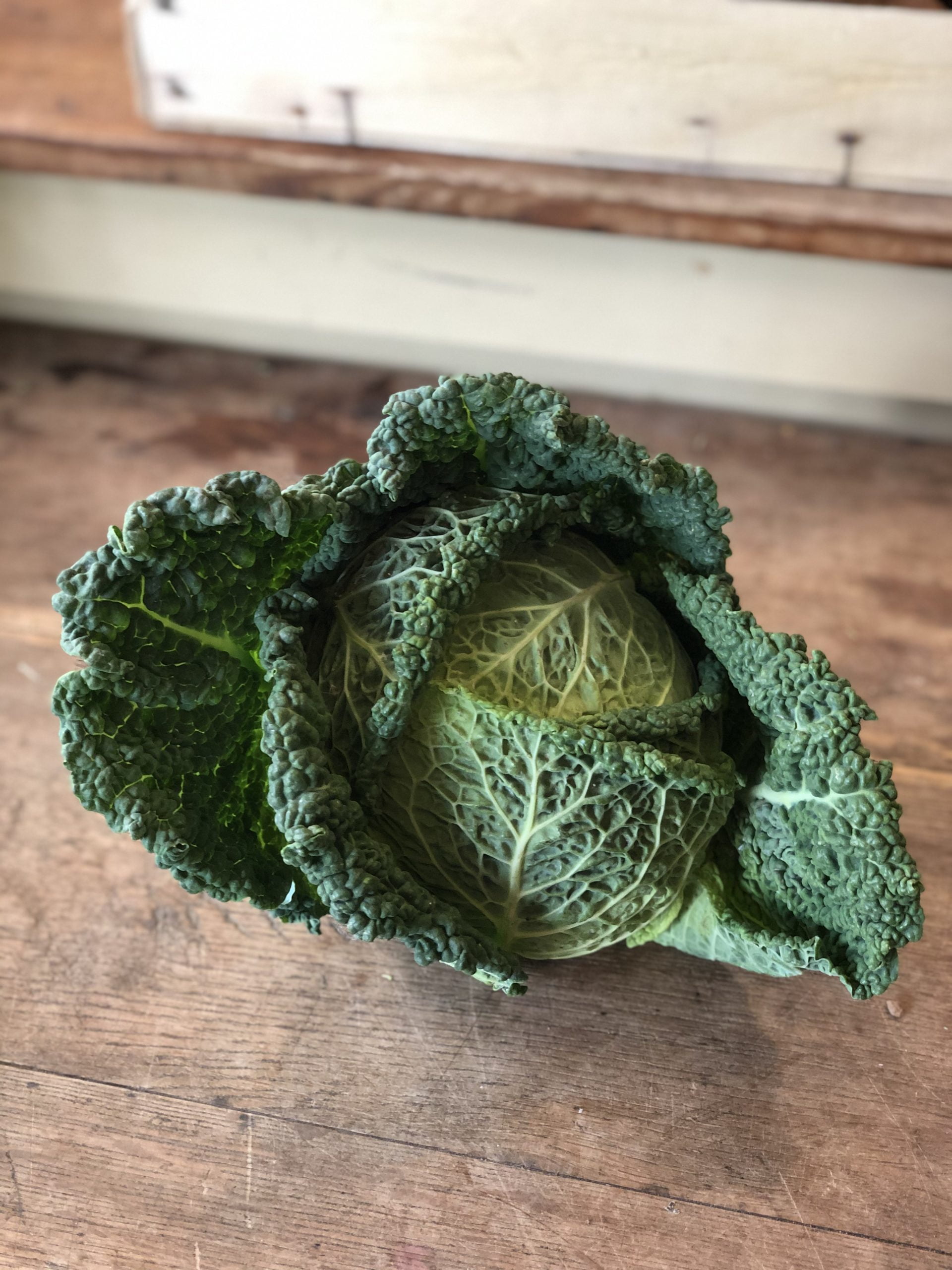 Worton's Finest Savoy Cabbage (each) - Worton Kitchen Garden