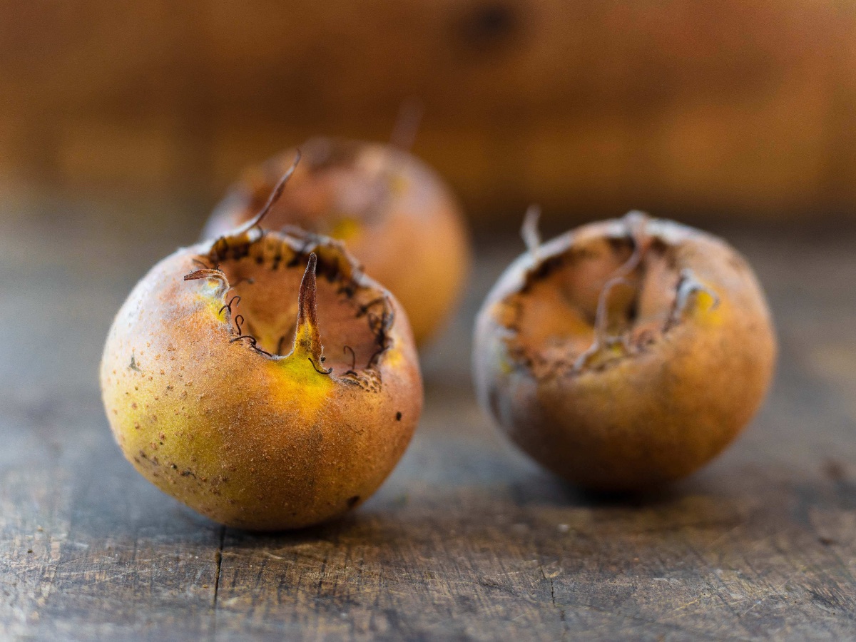 The last and probably the strangest fruit of the year? - Worton Kitchen ...