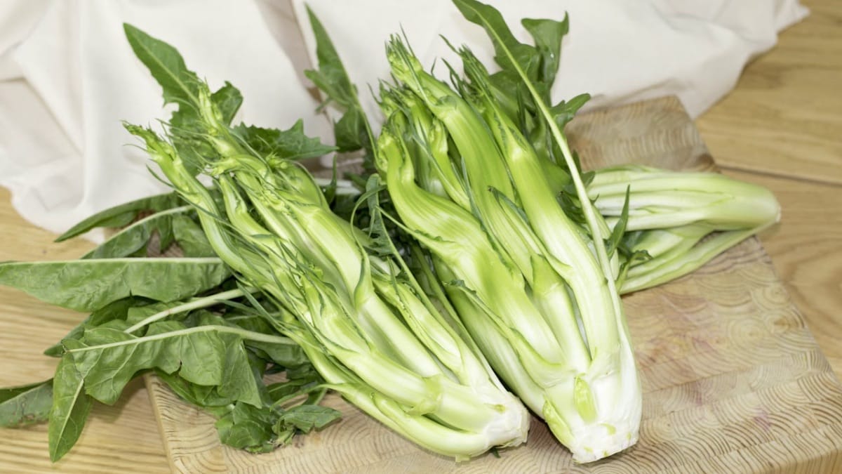 Refreshed, recharged and raring to go … We're Back! - Worton Kitchen Garden